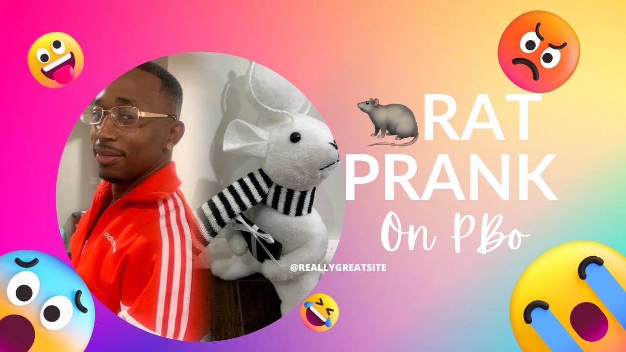 Rat Prank Youtube