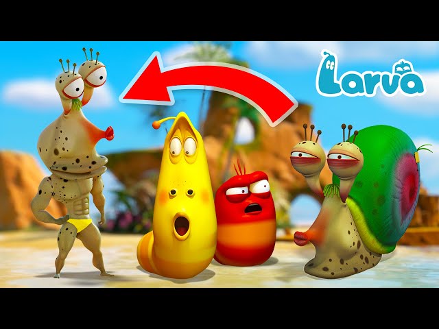 The Secret Of A Snail Larva Cartoons For Kids Wildbrain Kids
