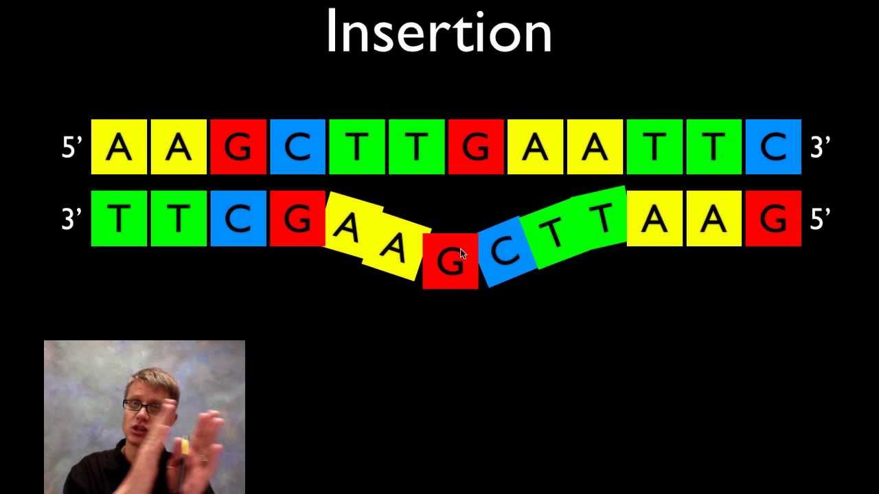 Mutations Youtube
