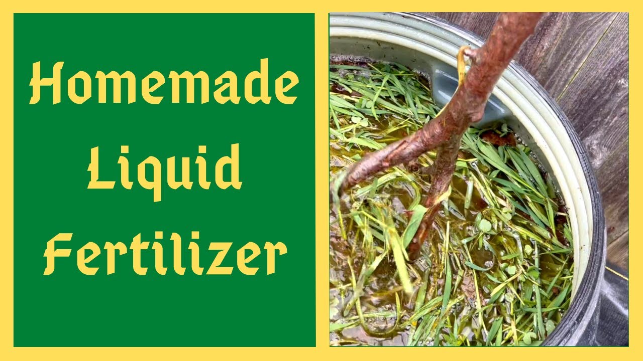 Homemade Liquid Fertilizer For Grass Homemade Ftempo