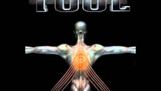 Tool Full Salical Full Album Mp3 Music & Mp4 video downloads