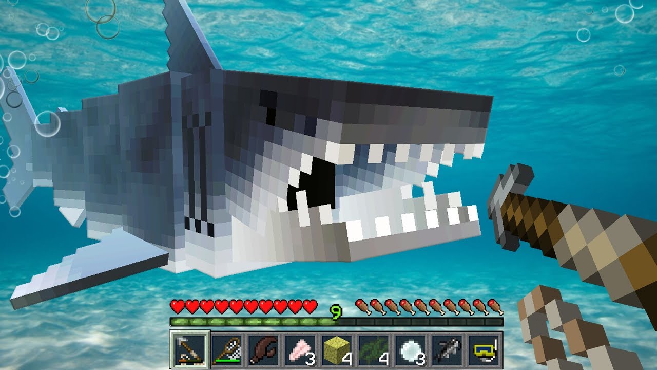 Minecraft Shark Design