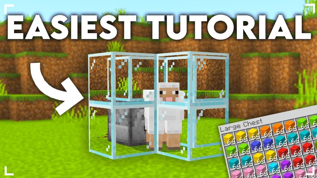 Easiest 1 19 Automatic Wool Farm Tutorial In Minecraft Bedrock Youtube