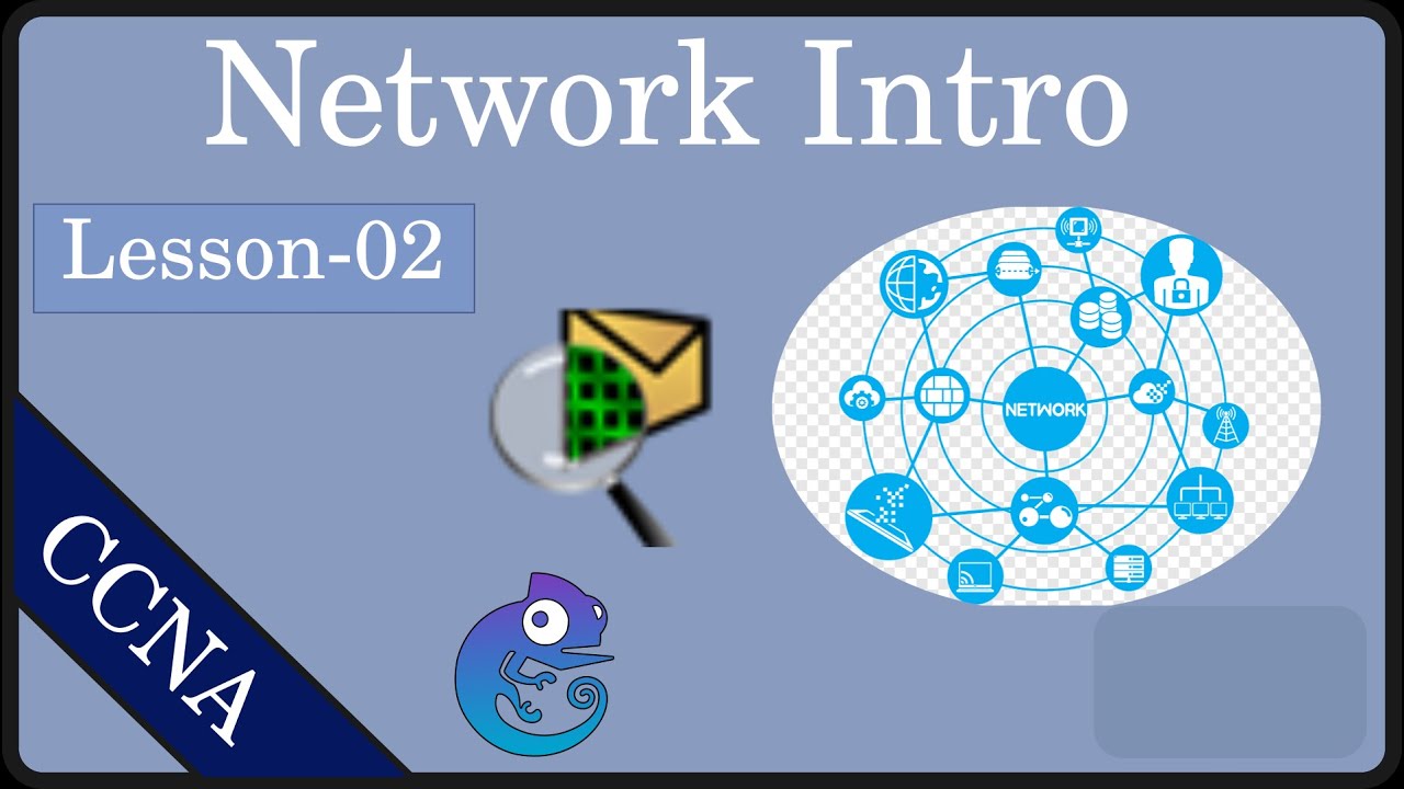 Lesson 2 Introduction Of Networking Youtube