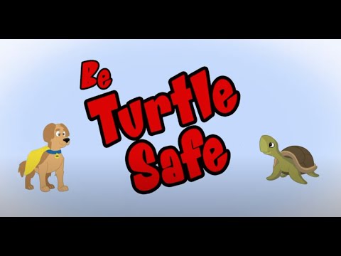 Turtle Safe English Full Version Youtube