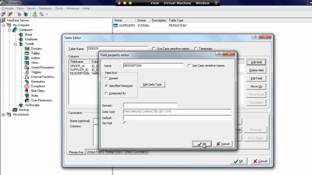 Interbase Database Creating Tables Smartly With Interbase Domains