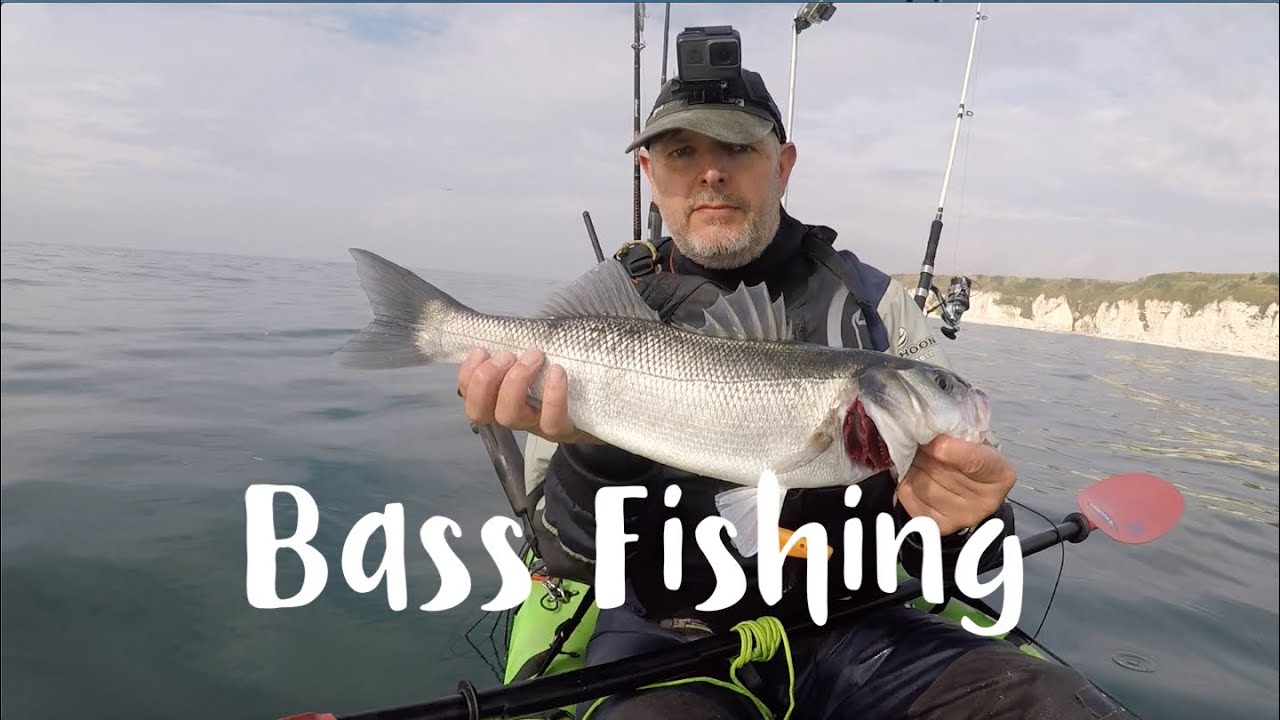 Bass Fishing Youtube
