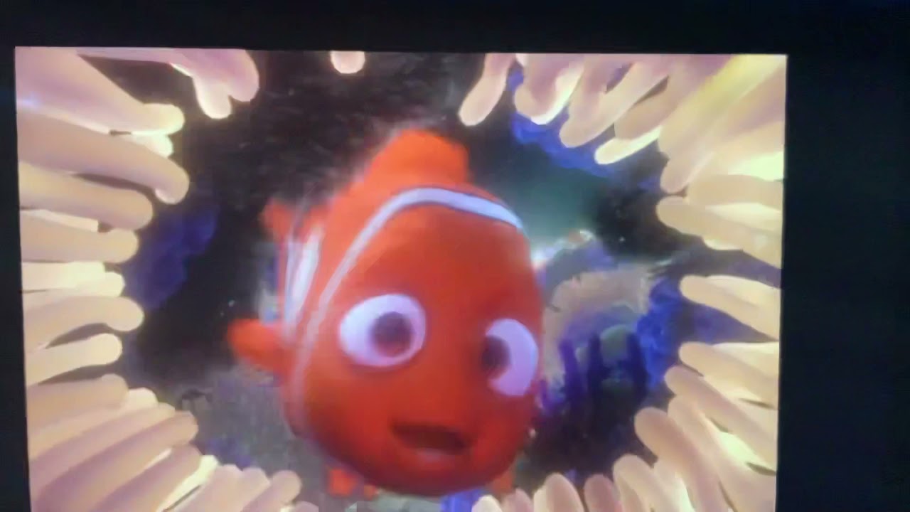 Finding Nemo In Full Frame Without Context Youtube