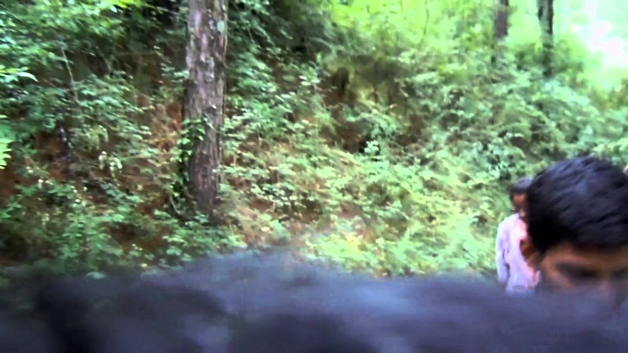 Dscn5354 Youtube