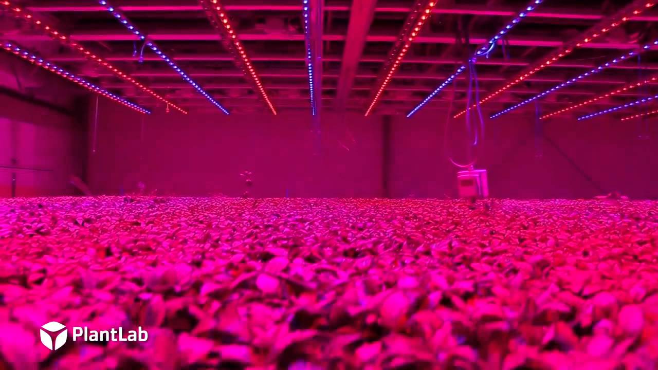 Plantlab Plant Production Unit Theredpin Youtube
