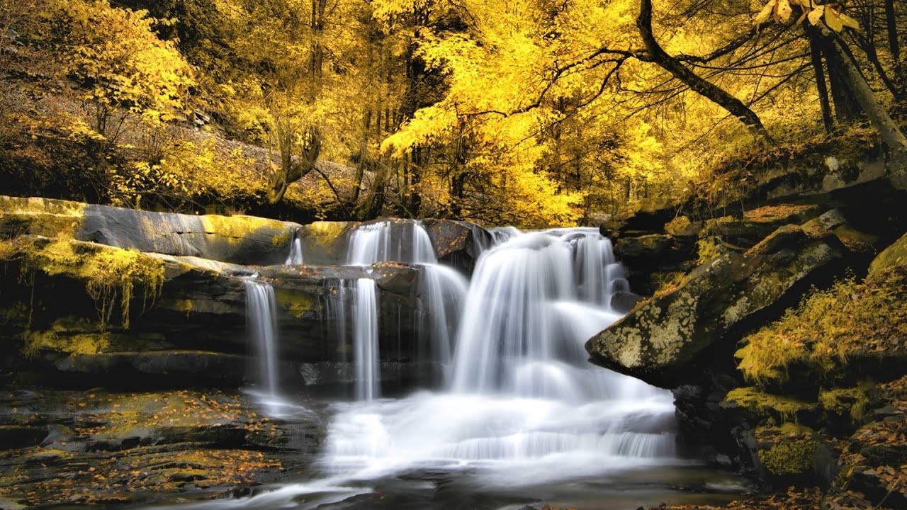 Relaxing Piano Music Meditation Music Calm Music Insomnia Sleep