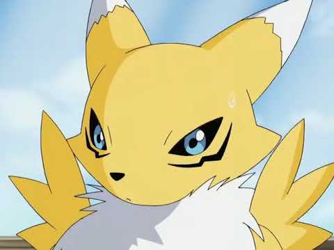 El Genero De Renamon Youtube