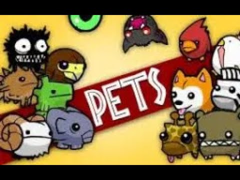 Castle Crashers All Pet Orbs Locations Youtube