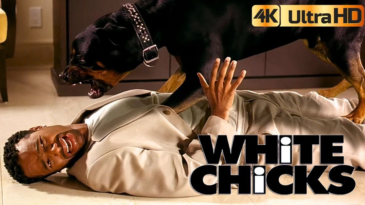 White Chicks 2004 Kevin Meets Latrell S Dog Scene 4k Hdr Youtube