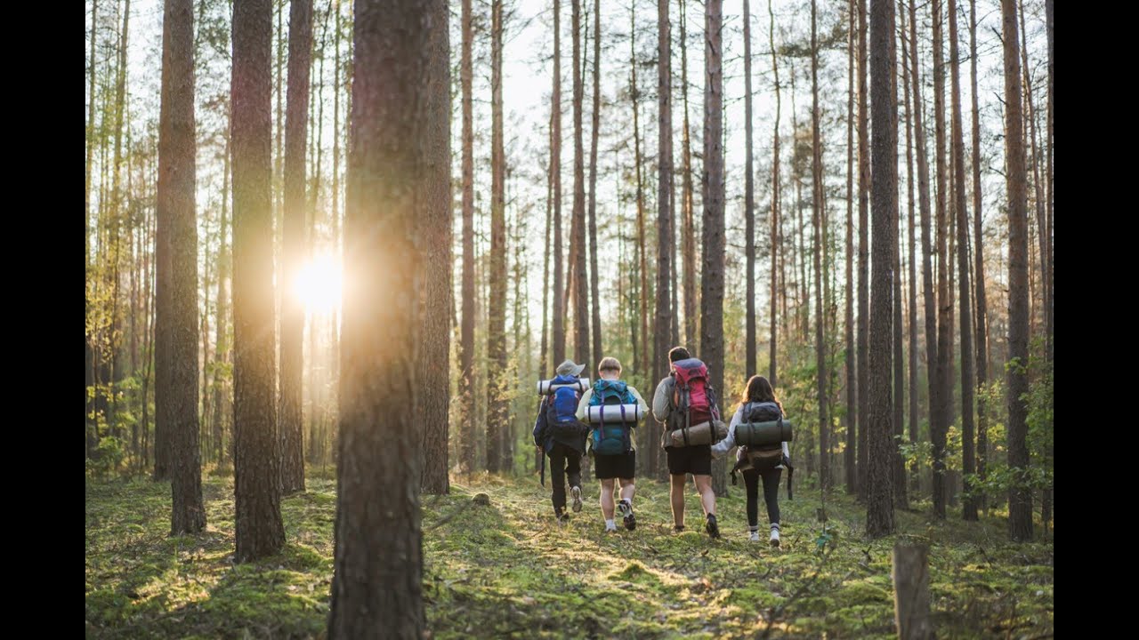 Lithuania Co Create Experiences In Nature Youtube