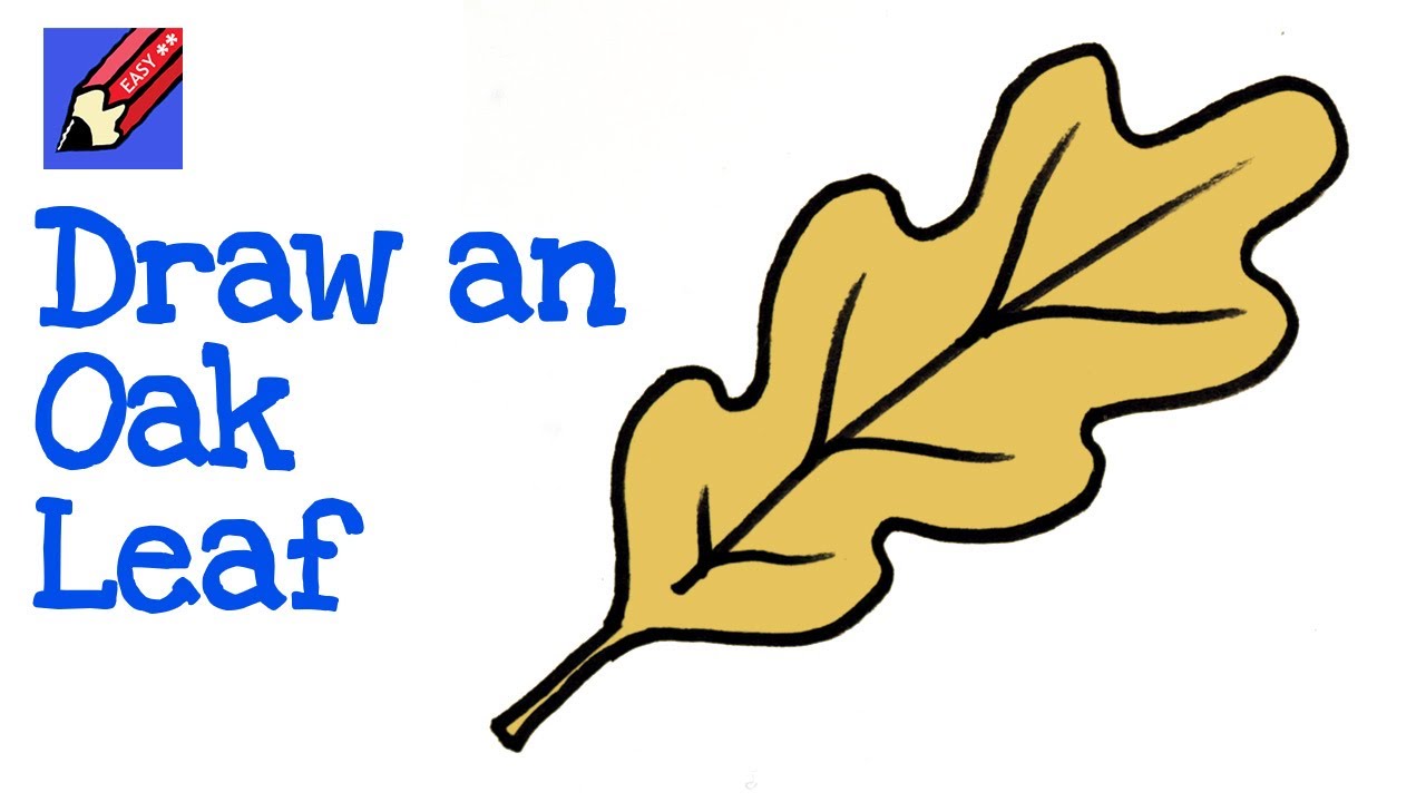 Draw A Fall Oak Leaf Real Easy Youtube