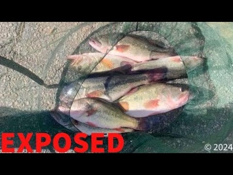 Tournament Cheater Caught Youtube