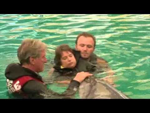 Delphintherapie Von Carina Groenewold Youtube