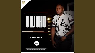 Ucapitec Feat Shenge Wasehlalankosi Unjoko Topic Mp3 Music & Mp4 video ...