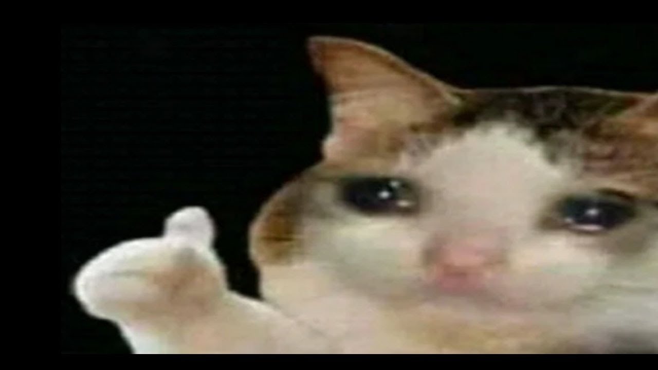 Crying Cat Thumbs Up Meme Transparent Featured Crying Cat Thumbs Up