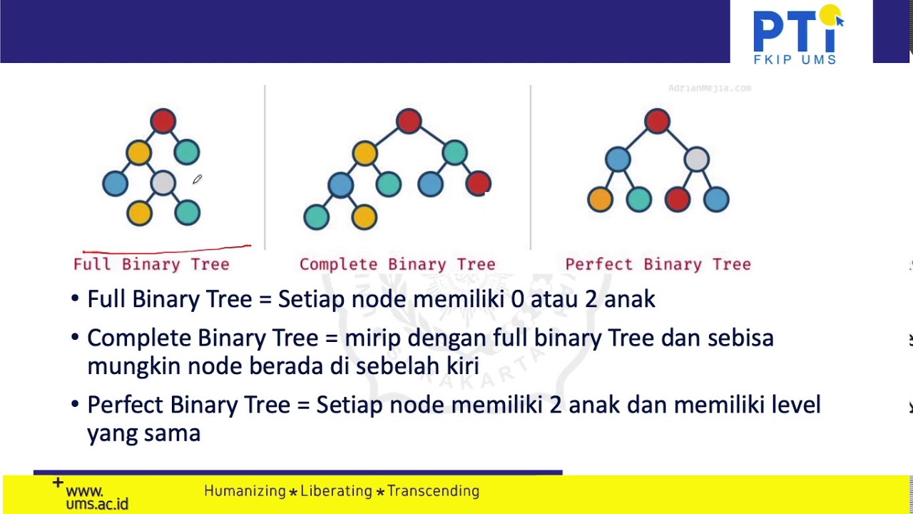 Konsep Binary Tree Youtube