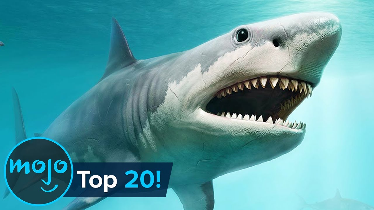 Top 20 Extinct Animals Youtube