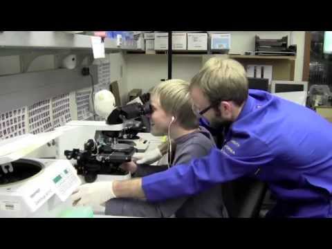 Ghostdoc Youtube