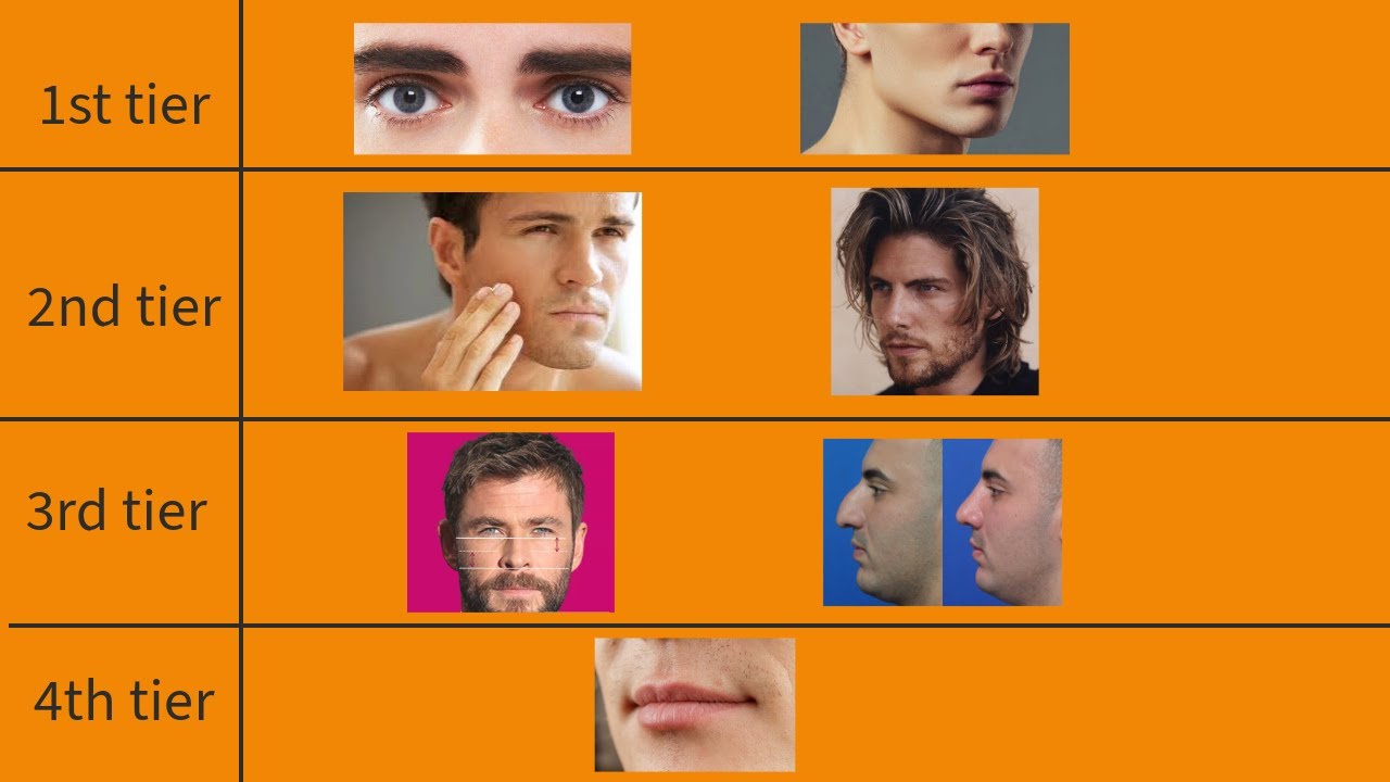 Ranking Which Facial Feature Is More Important To Determine