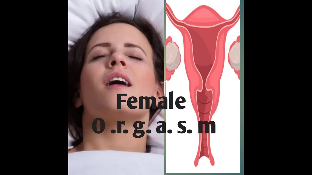 Female Orgasm Female Anatomy And Biology Youtube