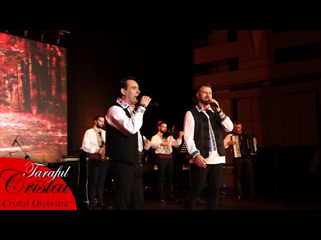 Cornel OPREA si Marius MARIN - Frunza batuta de vant- Concert Slobozia 2018