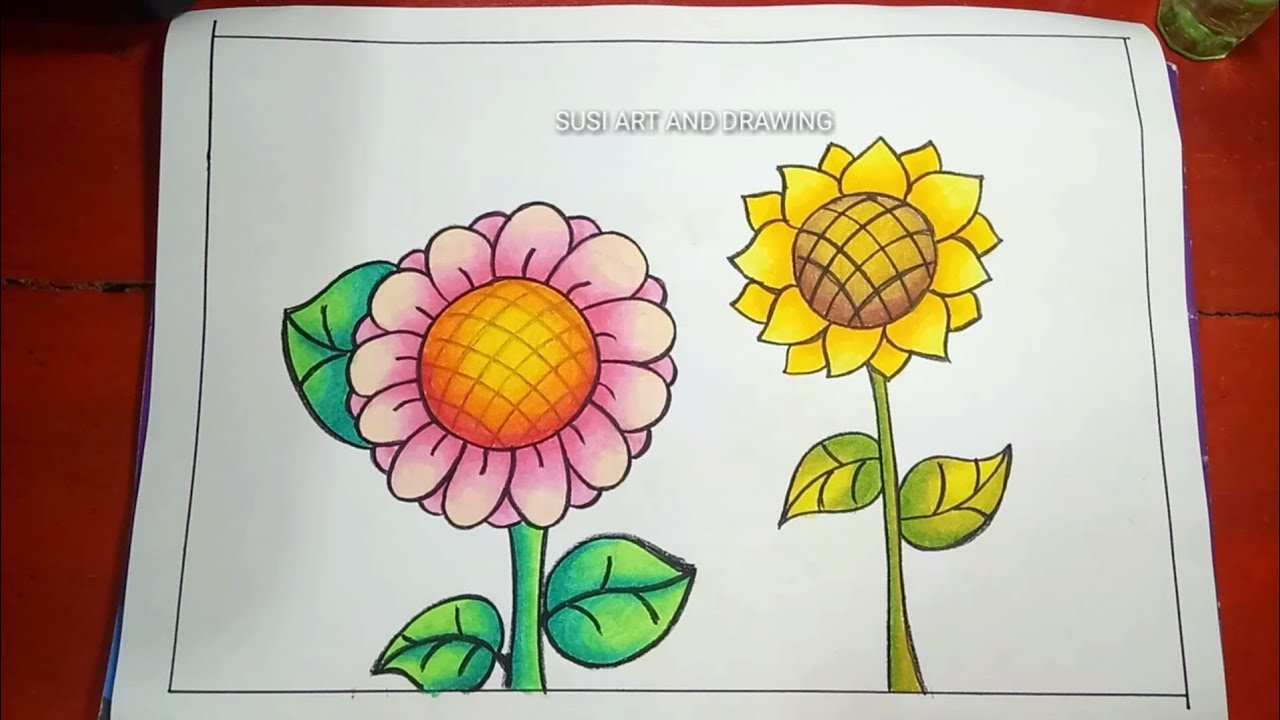 Cara Menggambar Bunga Matahari How To Draw Sunflower Youtube