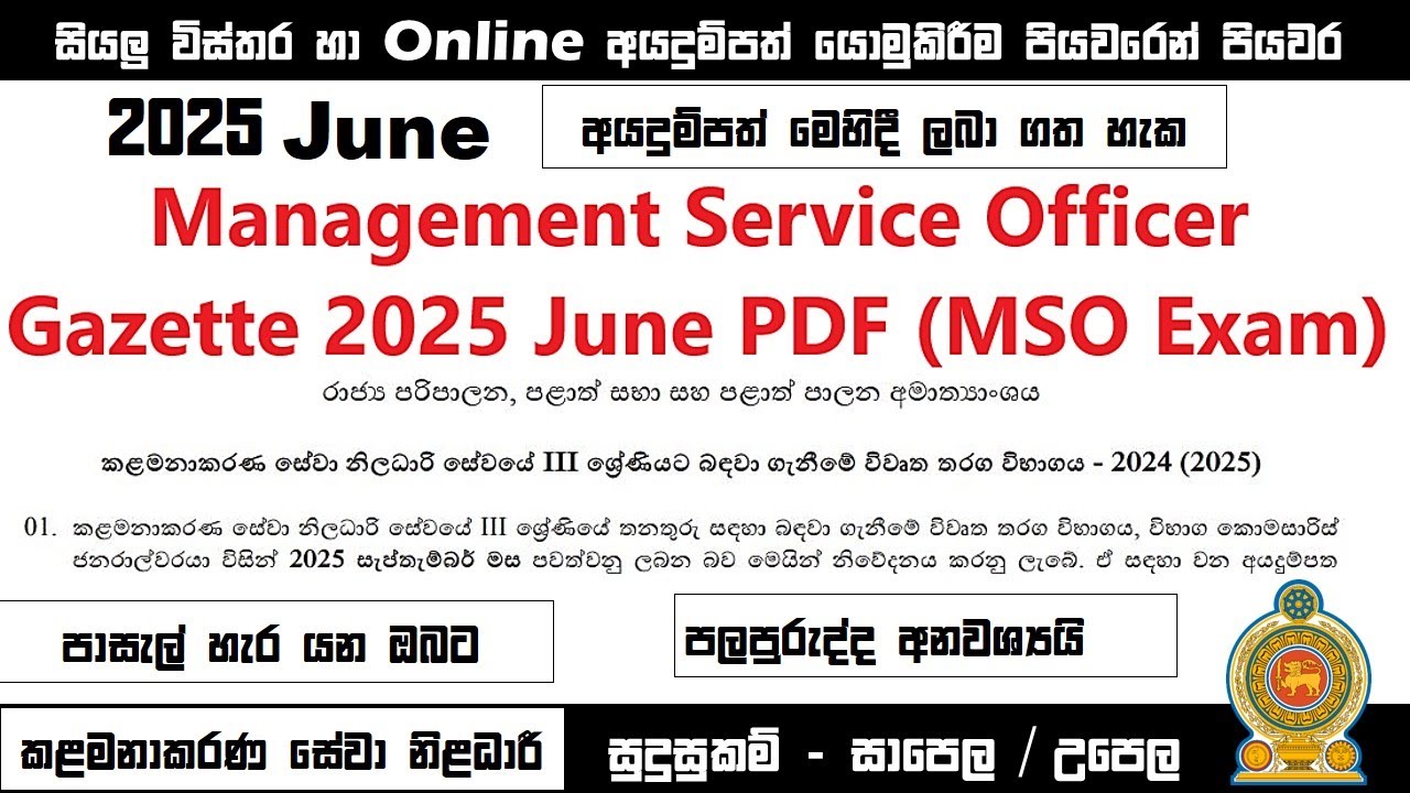 Mso Application 2025 How To Apply Management Service Officer Online