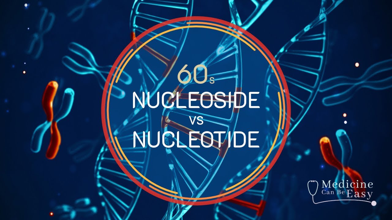 Genetics In 60 Seconds Nucleoside Vs Nucleotide Youtube