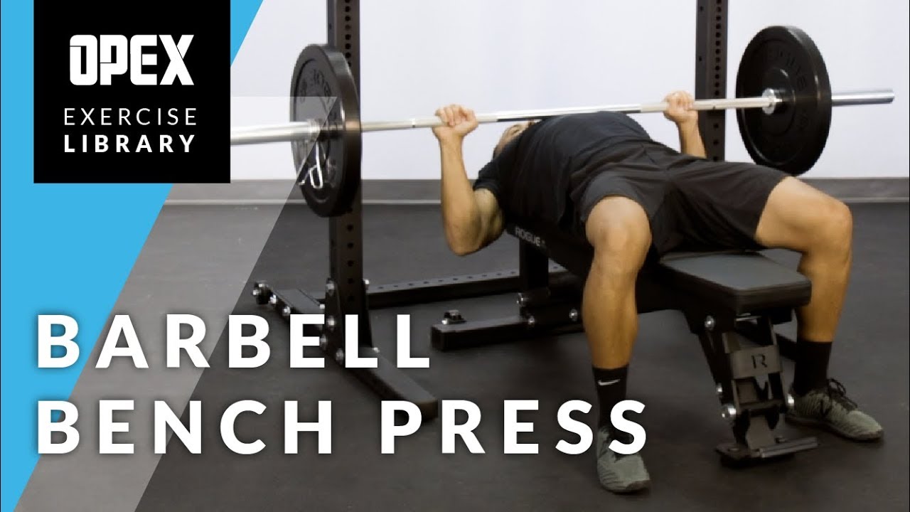 Barbell Bench Press Opex Exercise Library Youtube
