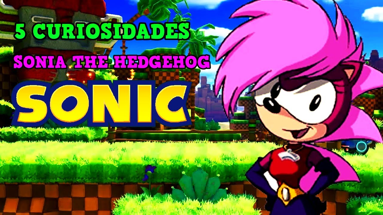 5 Curiosidades De Sonia The Hedgehog Sonic Youtube
