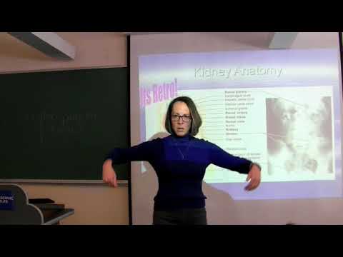 Ap Ii Chapter 25 Urinary System Master Youtube