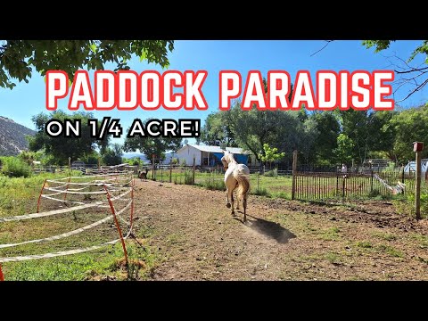 Creating A Paddock Paradise Horse Track System Transform Your Small
