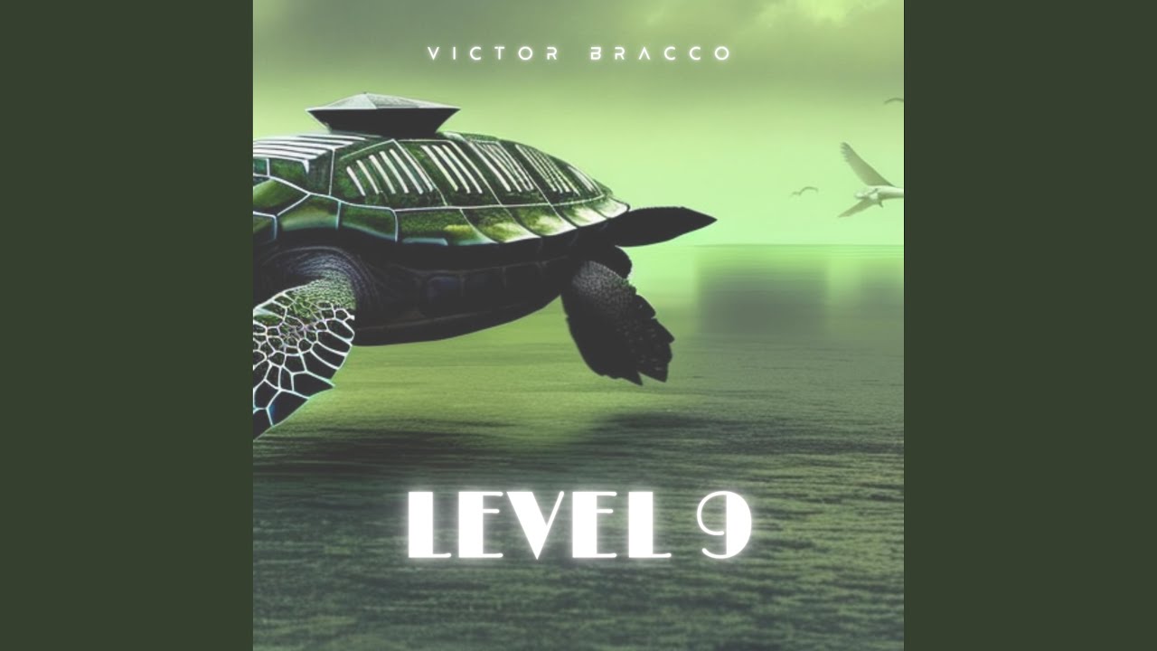 Level 9 Youtube