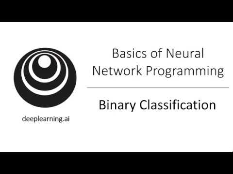 Binary Classification C1w2l01 Video Summary And Q A Glasp
