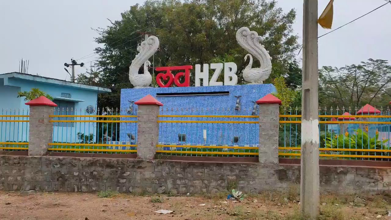 Pakka Comedy Tv Channel Youtube