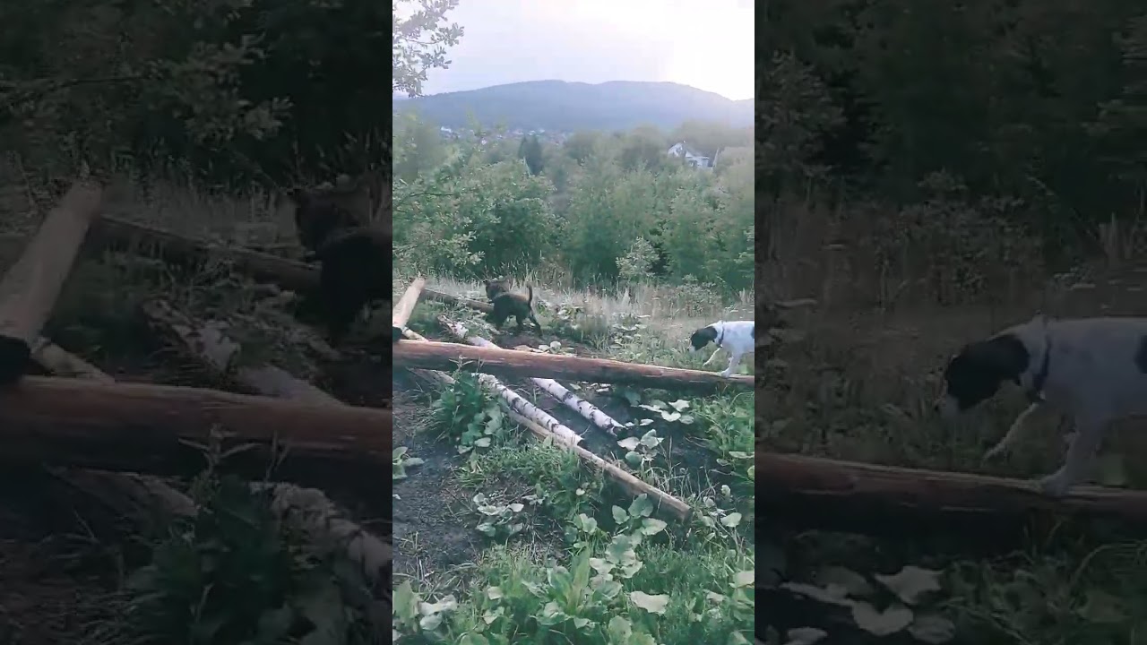 Https Youtu Be Ecmyltpn 4q Youtube