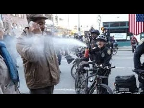 Cops Get Owned Compilation Youtube
