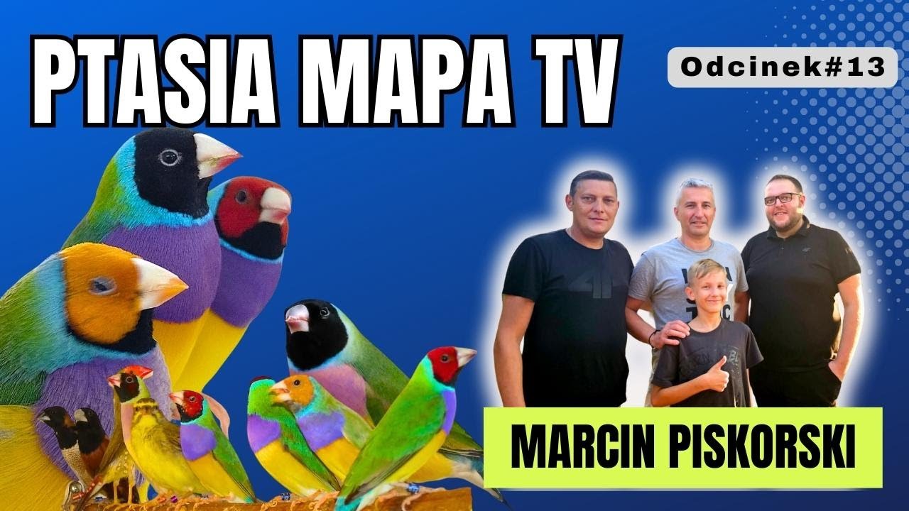 Ptasia Mapa Tv Odcinek 13 Marcin Piskorski Youtube