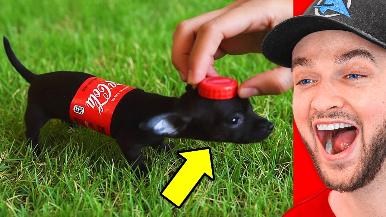 World S Funniest Youtube Shorts Youtube