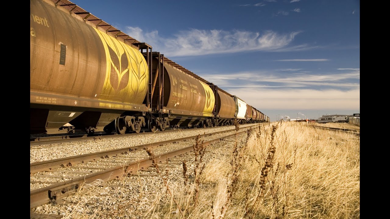 Apas Update Mar 2 2023 Youtube