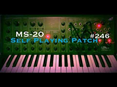 Korg Ms 20 246th Self Playing Patch Youtube