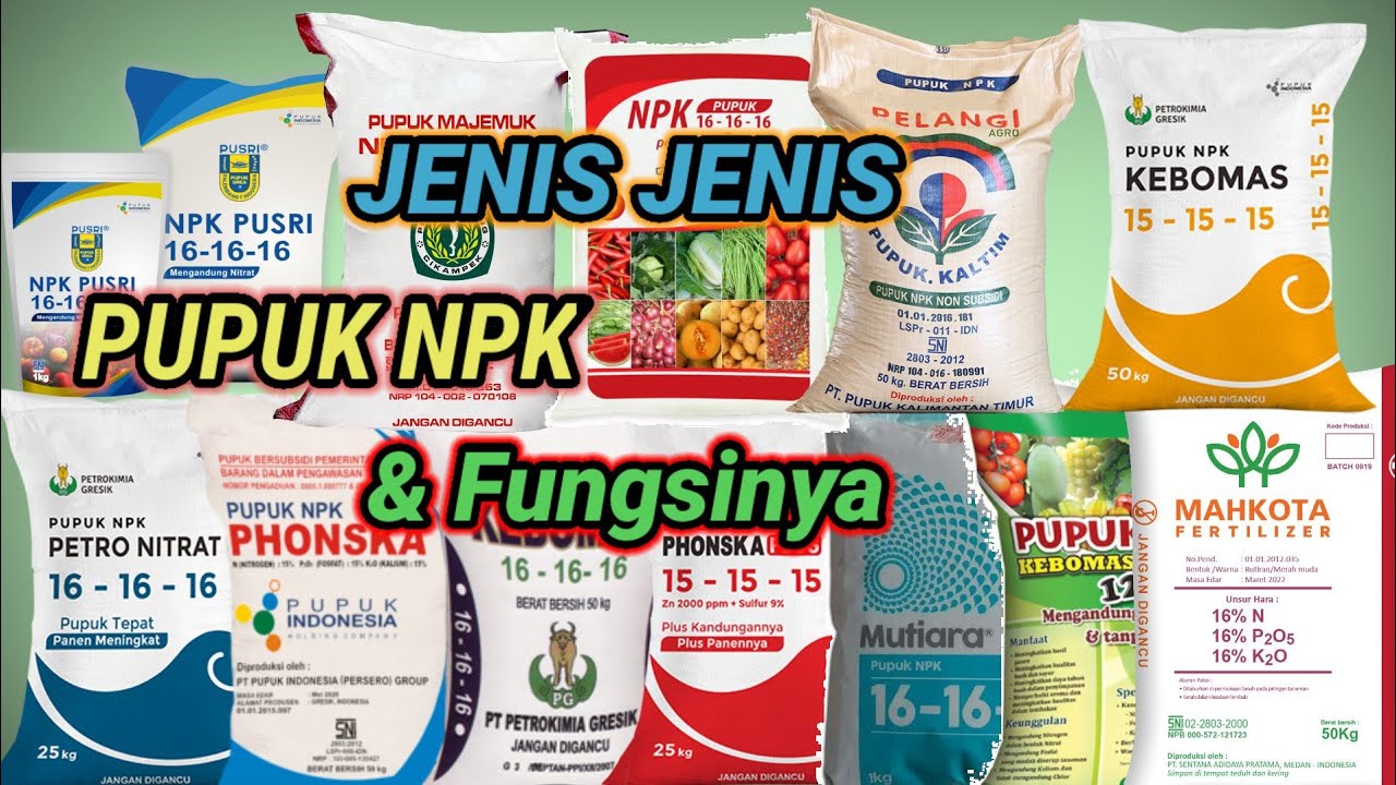 Jenis Pupuk Npk Kandungan Dan Kegunaannya Bagi Tanaman 52 Off