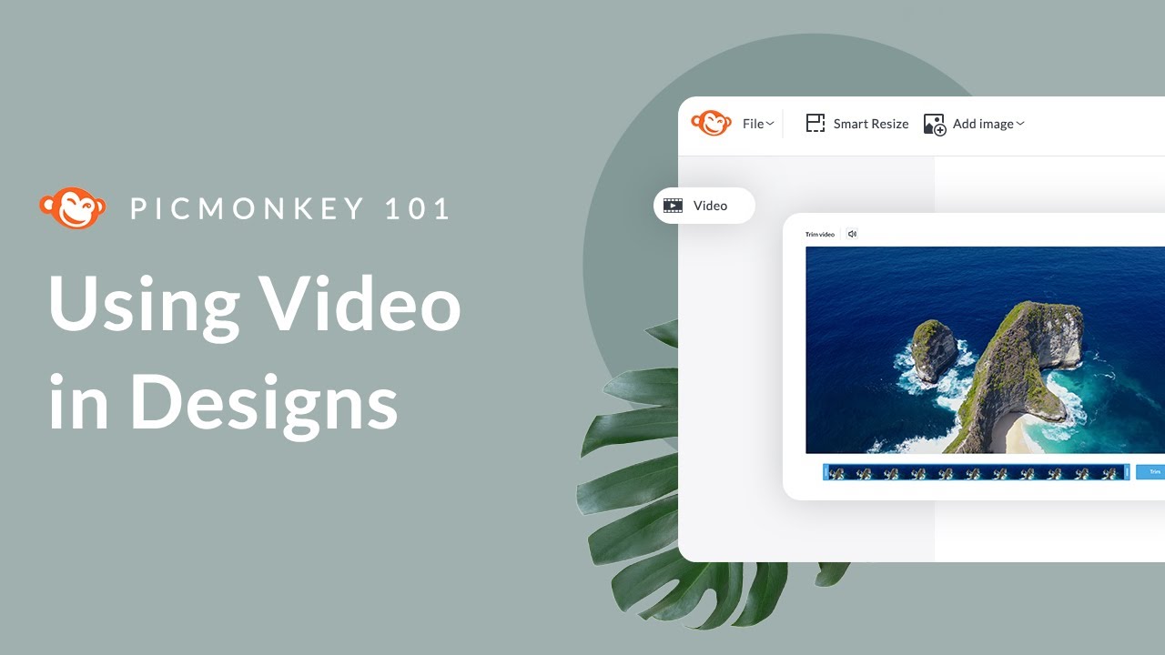 Picmonkey 101 Using Video In Designs Youtube