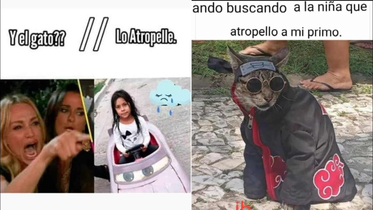 Atropellada Memes