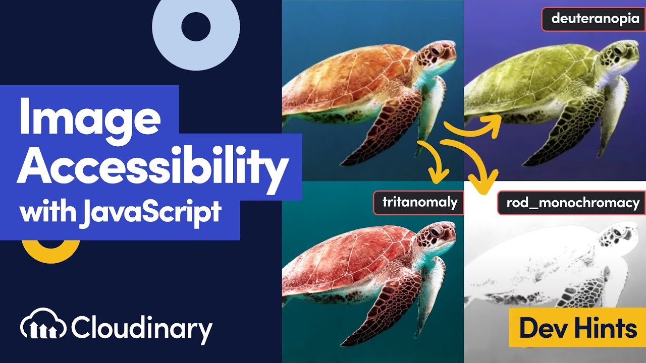 Accessibility Analysis Color Blind Image Converter In Javascript With